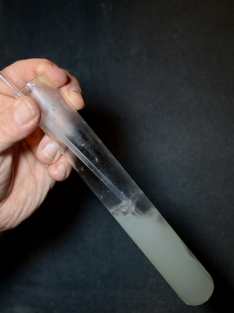 Carbon-di-oxide and nitrogen — lesson. Science State Board, Class 6.