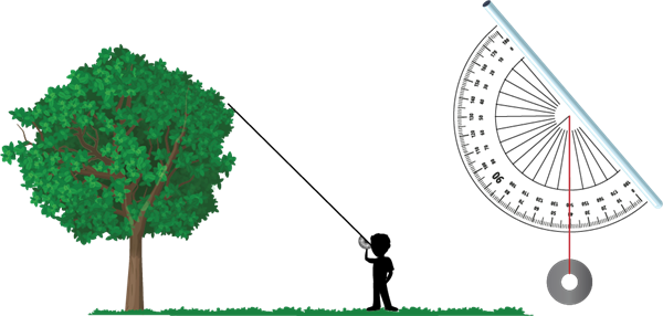 Introduction — lesson. Mathematics State Board, Class 10.