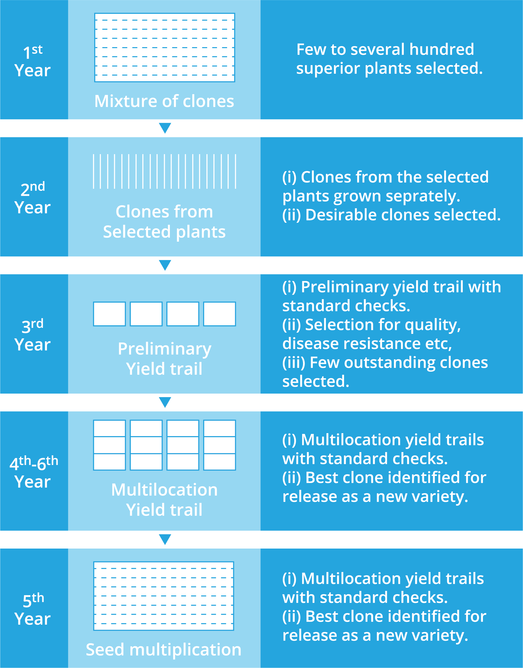 Pureline selection and clonal selection — lesson. Science State Board ...