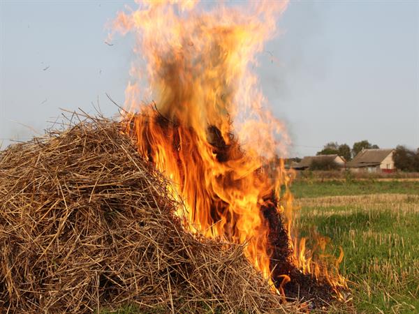 Types of Combustion — lesson. Science CBSE, Class 8.