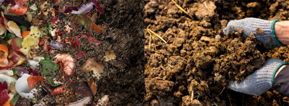 Vermitechnology — lesson. Science State Board, Class 9.