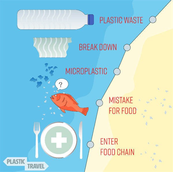 Impacts of plastics — lesson. Science State Board, Class 7.