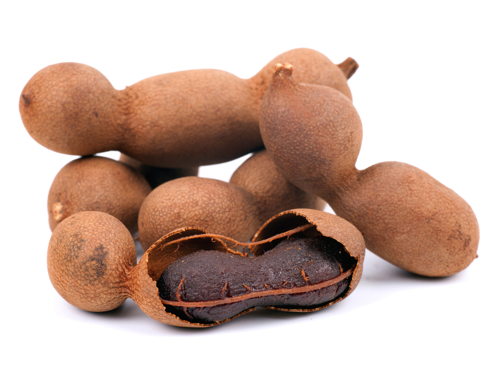 Explanation — lesson. English Language CBSE, Class 9.