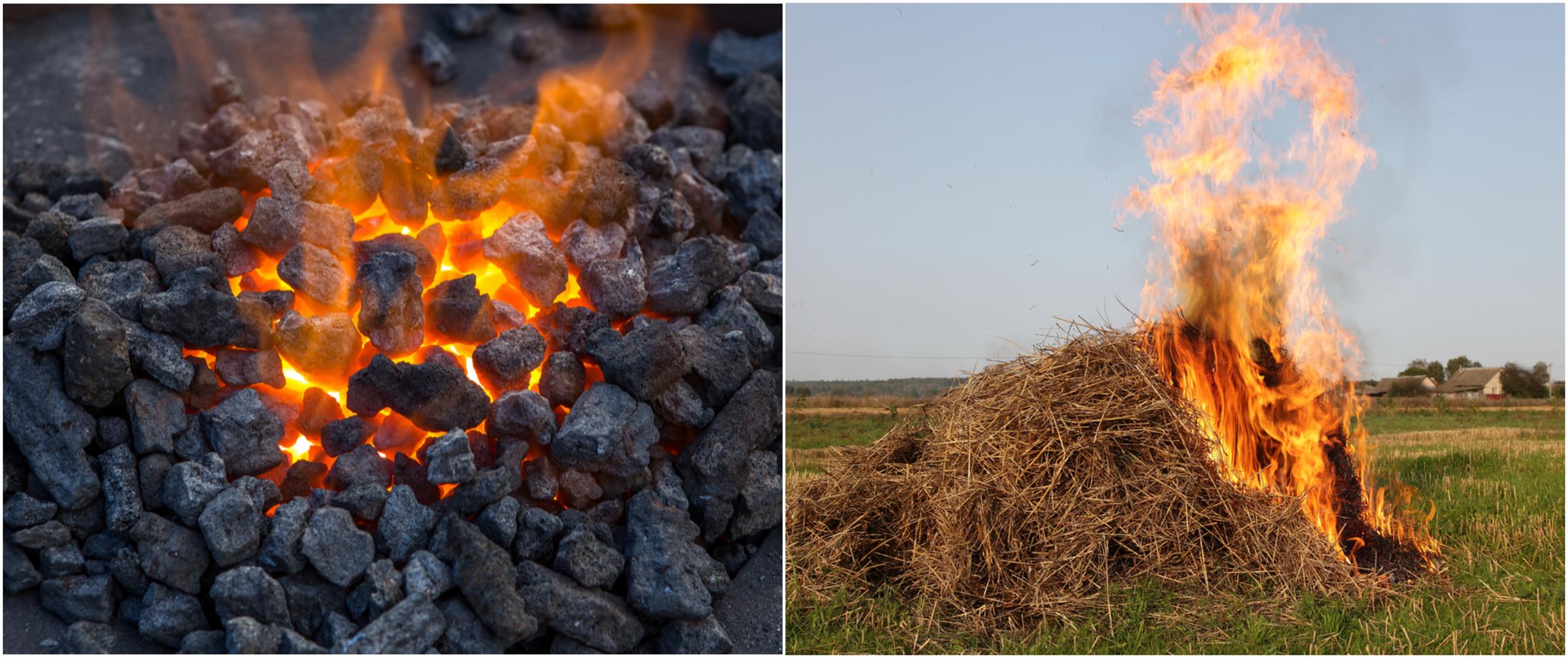 Combustion reaction and its type — lesson. Science State Board, Class 7.