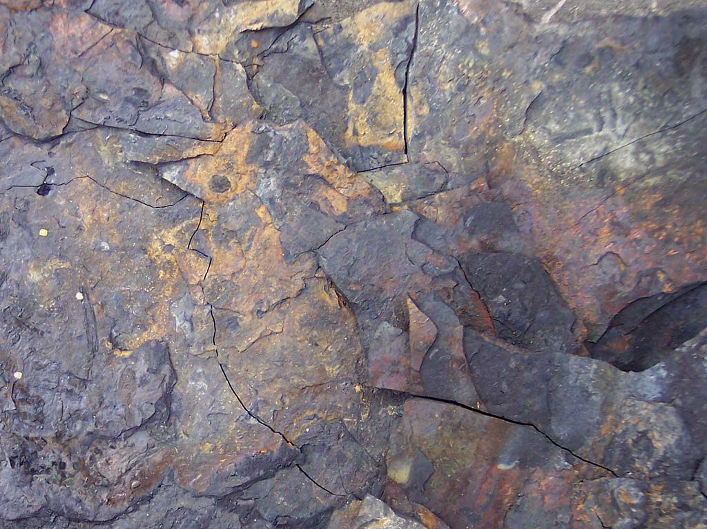 Coal: extraction and its types — lesson. Science State Board, Class 8.