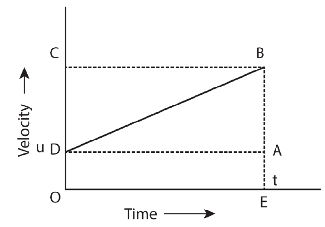 Equation of motion — lesson. Science State Board, Class 9.