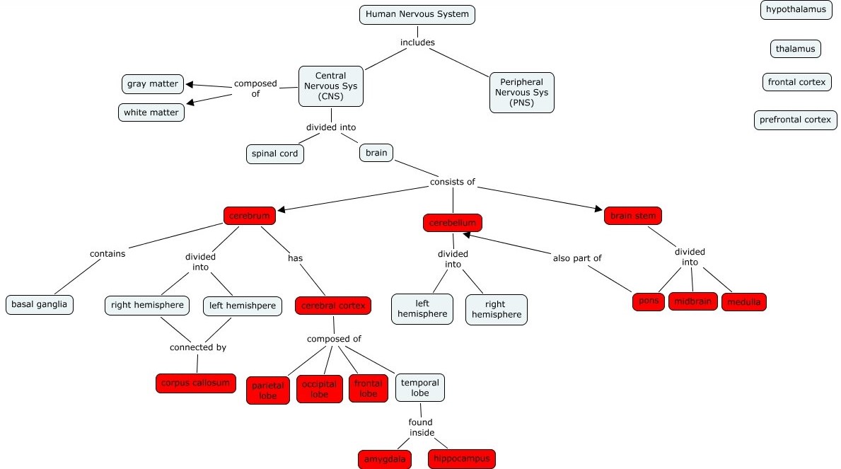 Mindmap — lesson. Science CBSE, Class 10.