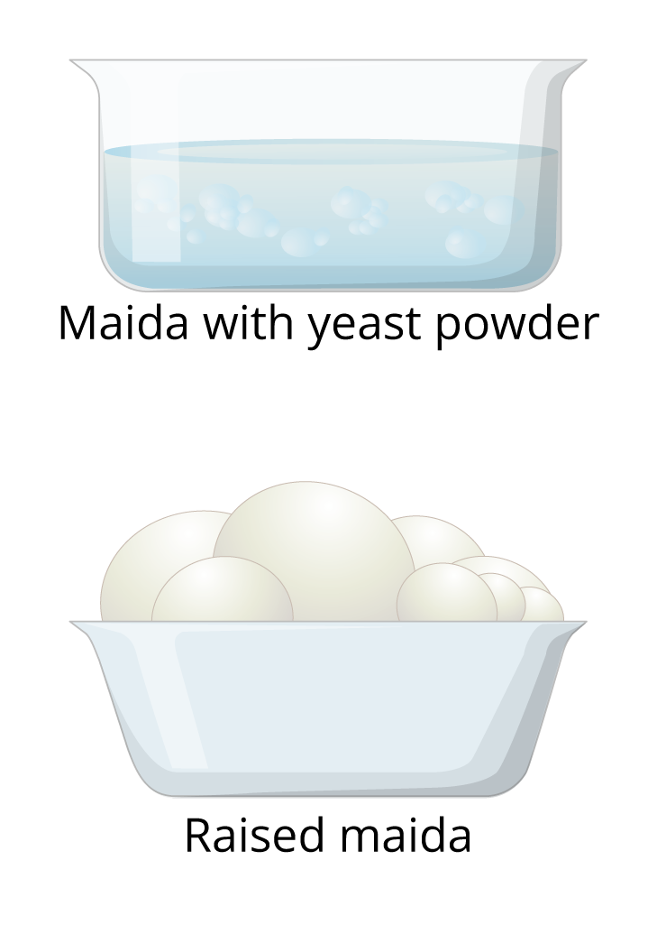 Intext question XII — task. Science CBSE, Class 8.