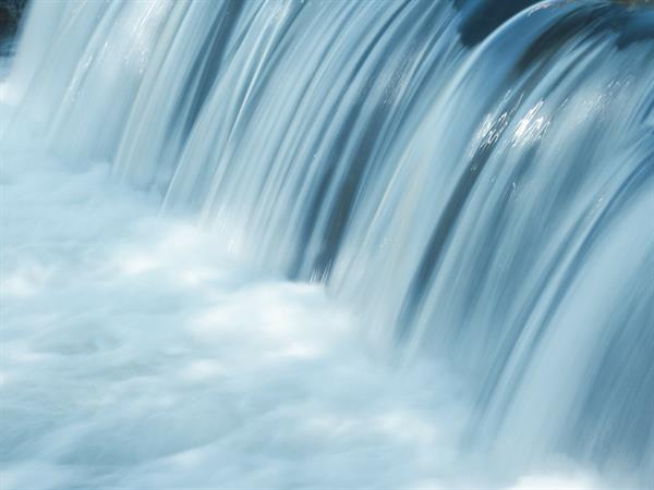 Motion and its types — lesson. Science CBSE, Class 6.