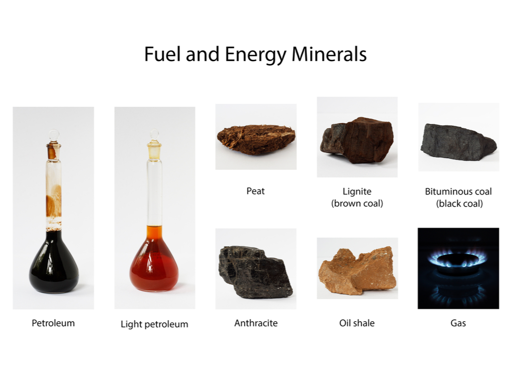 Formation of fossil fuels — lesson. Science CBSE, Class 8.