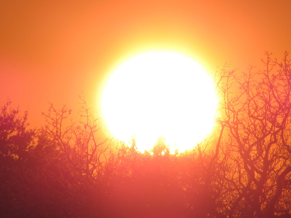 Introduction to metaphors — lesson. English Language CBSE, General ...