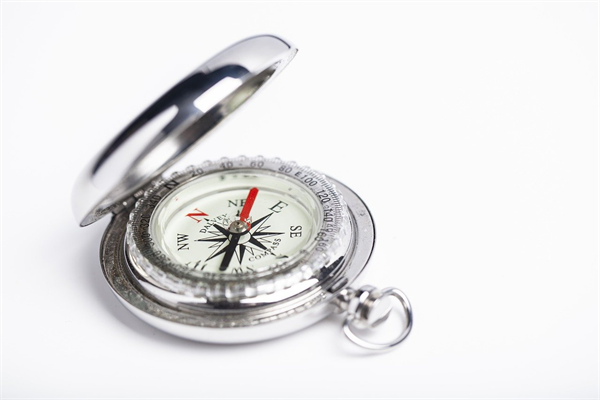 Compass and its uses — lesson. Science CBSE, Class 6.