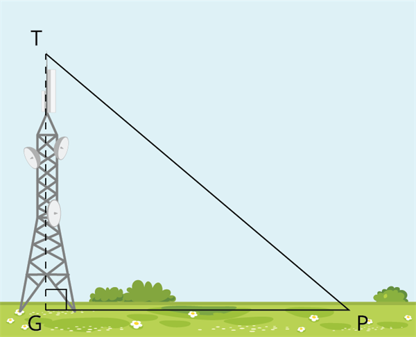 Find the angle made by the tower — task. Mathematics State Board, Class 9.