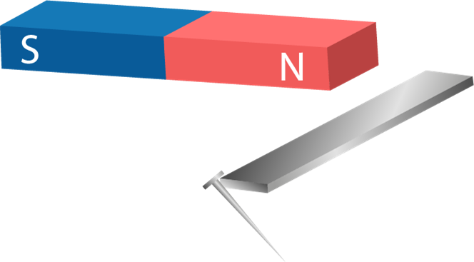 NCERT Exemplar XVIII — task. Science CBSE, Class 6.