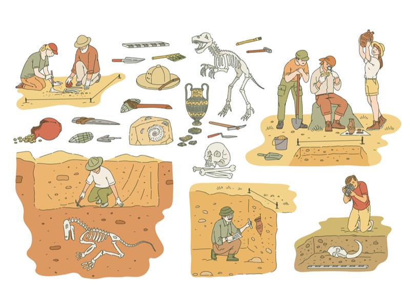 Stages of human evolution — lesson. Social Science, Class 6.