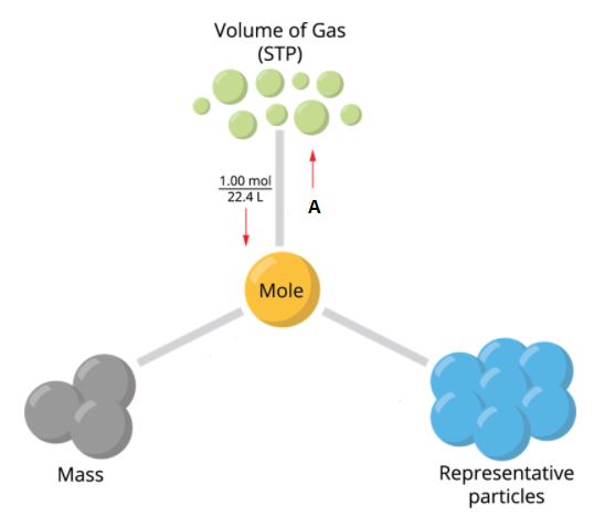 Mole triangle: select the correct answer — task. Science State Board ...