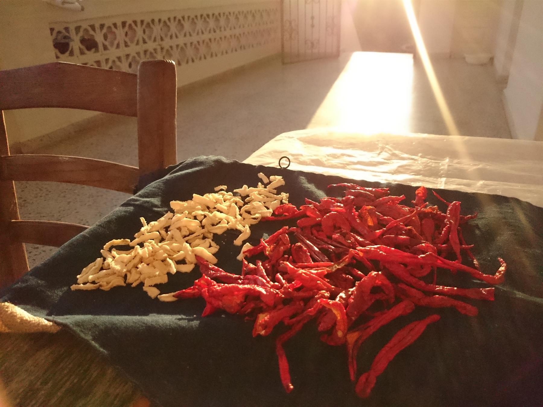 Preservation of food from microorganisms — lesson. Science CBSE, Class 8.