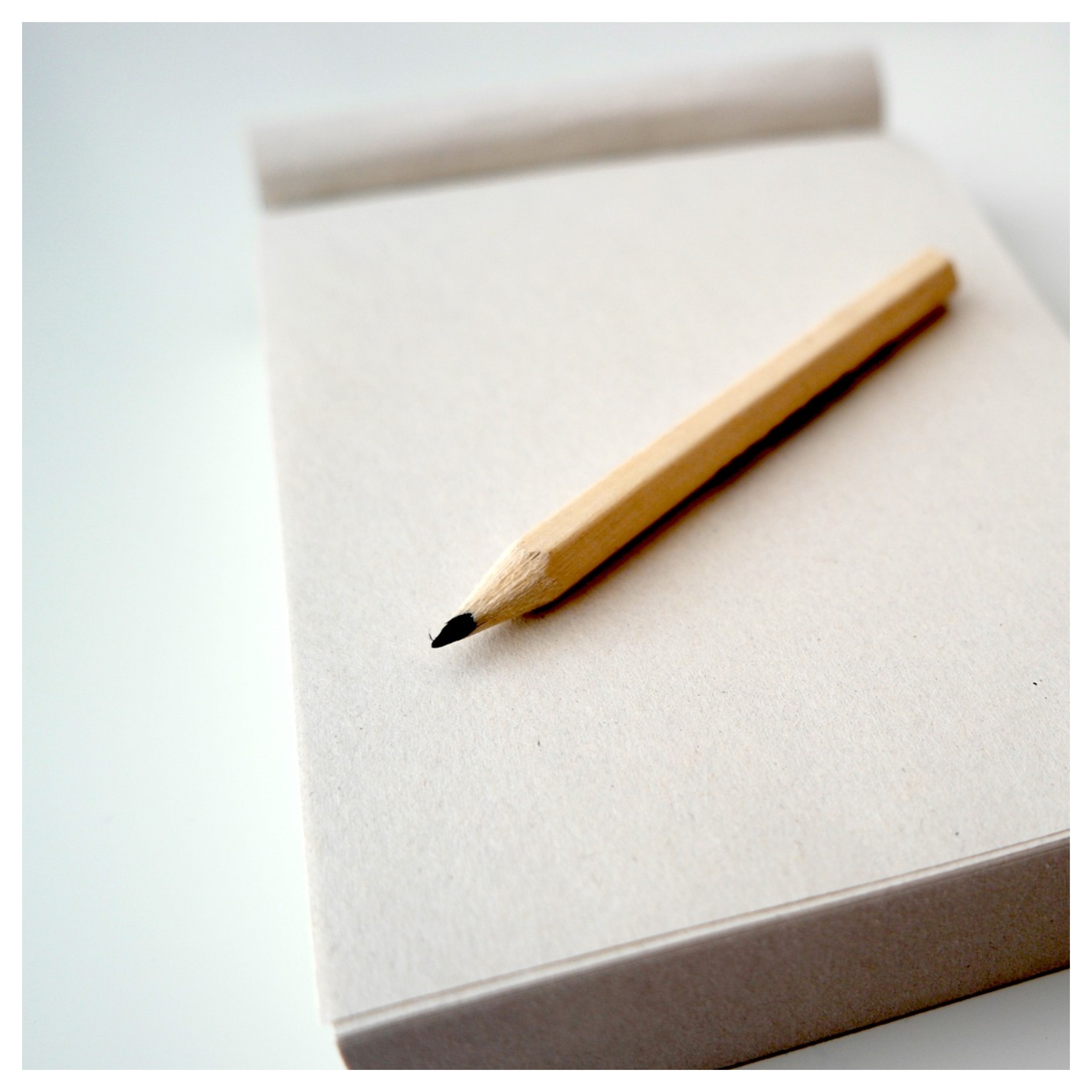 Explanation to paragraphs 2 and 3 — lesson. English Language CBSE, Class 6.