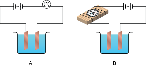 NCERT Exemplar XVIII — task. Science CBSE, Class 8.