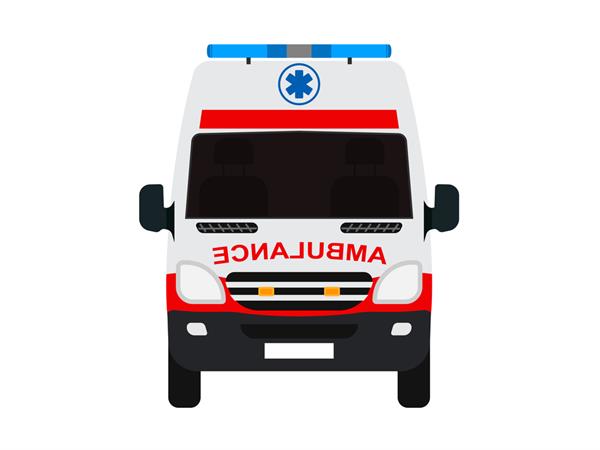 Lateral inversion — lesson. Science CBSE, Class 7.