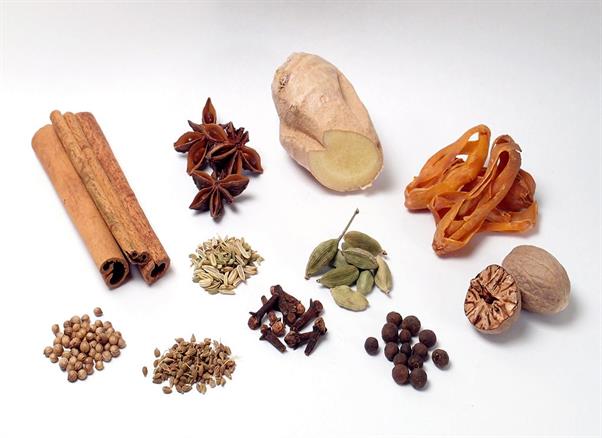 Plants used as spices and as medicinal plants — lesson. Science State ...