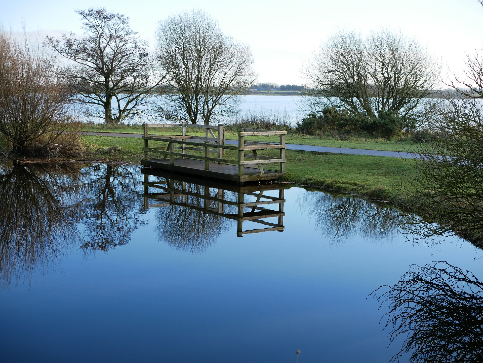 Reflection — lesson. Science State Board, Class 7.