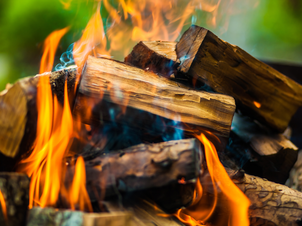 Introduction to Fire and Combustion — lesson. Science CBSE, Class 8.