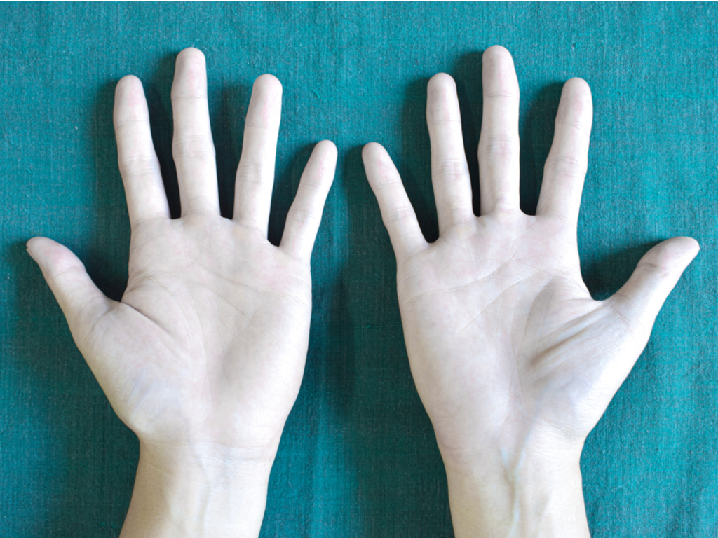 Explanation — lesson. English Language CBSE, Class 8.