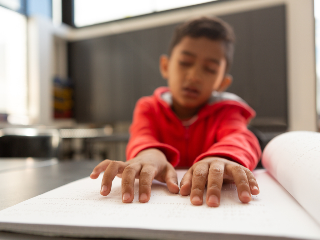 The braille system — lesson. Science CBSE, Class 8.