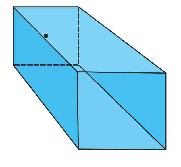 Reflection — lesson. Science CBSE, Class 6.