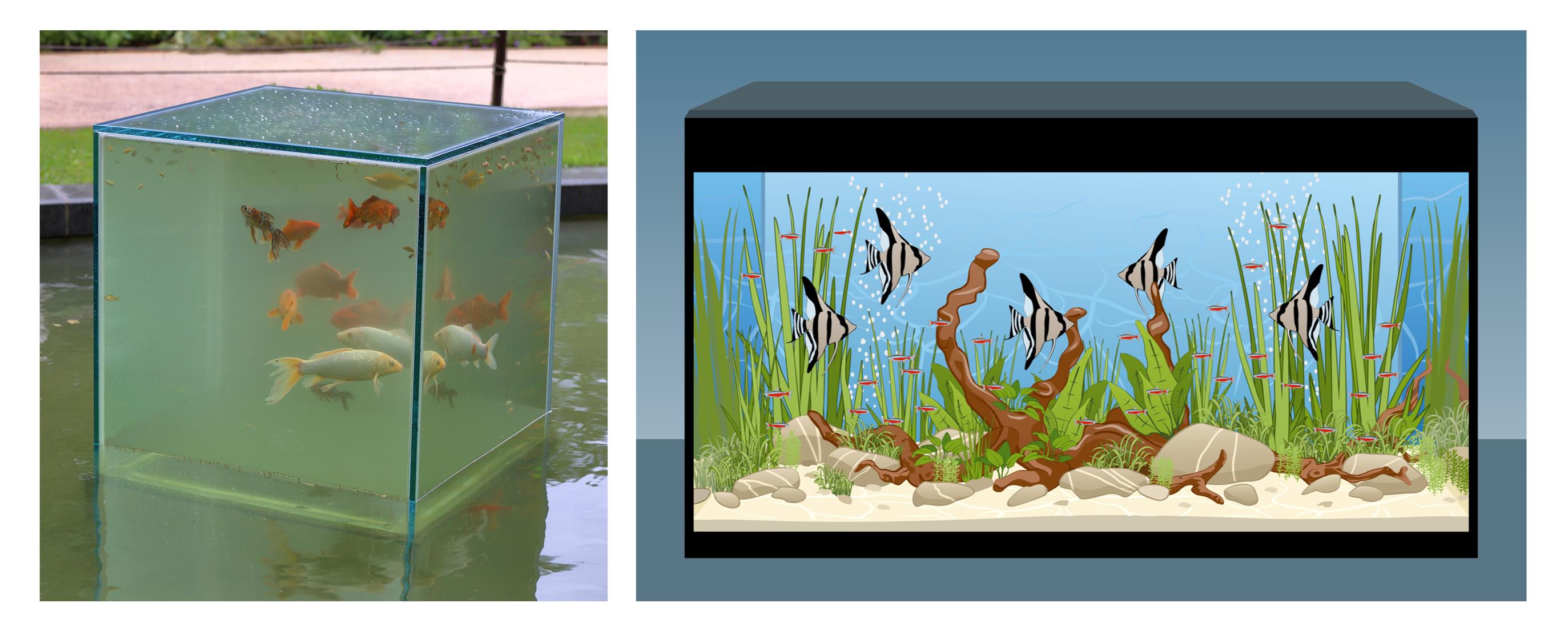 Compare the surface area of two shapes — task. Mathematics State Board ...