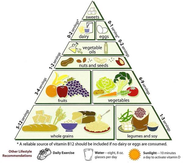 Balanced Diet Lesson Science State Board Class 6 