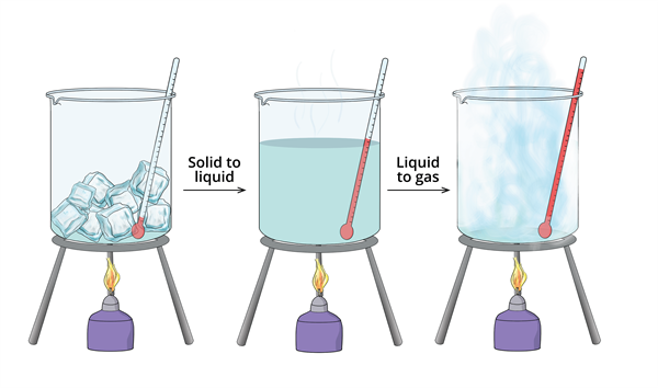 Indicators of chemical change — lesson. Science State Board, Class 8.