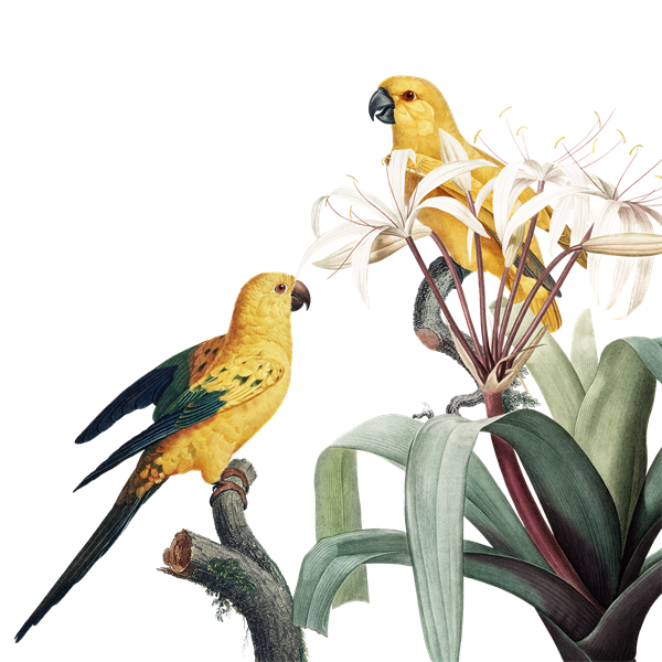 Stanza 1 — lesson. English Language CBSE, Class 8.