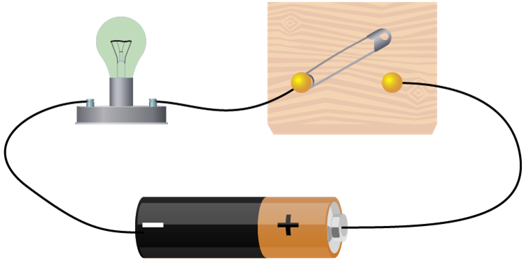 NCERT Exemplar XI — task. Science CBSE, Class 6.