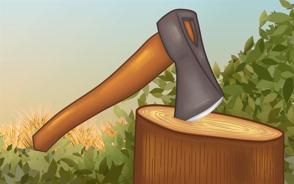 Explanation of the lesson "Bringing up Kari" — lesson. English Language ...