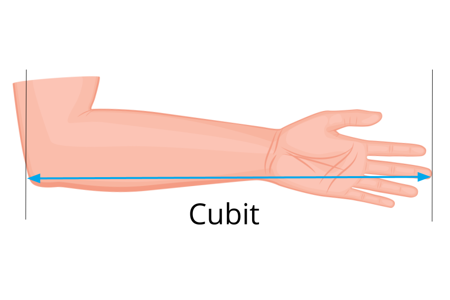 Units of measurement — lesson. Science CBSE, Class 6.