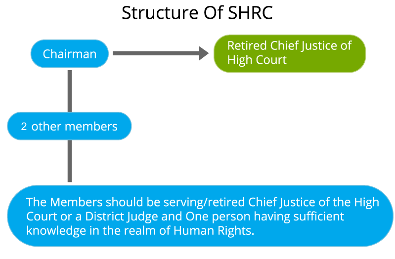 The Human Rights Institutions of India — lesson. Social Science, Class 9.