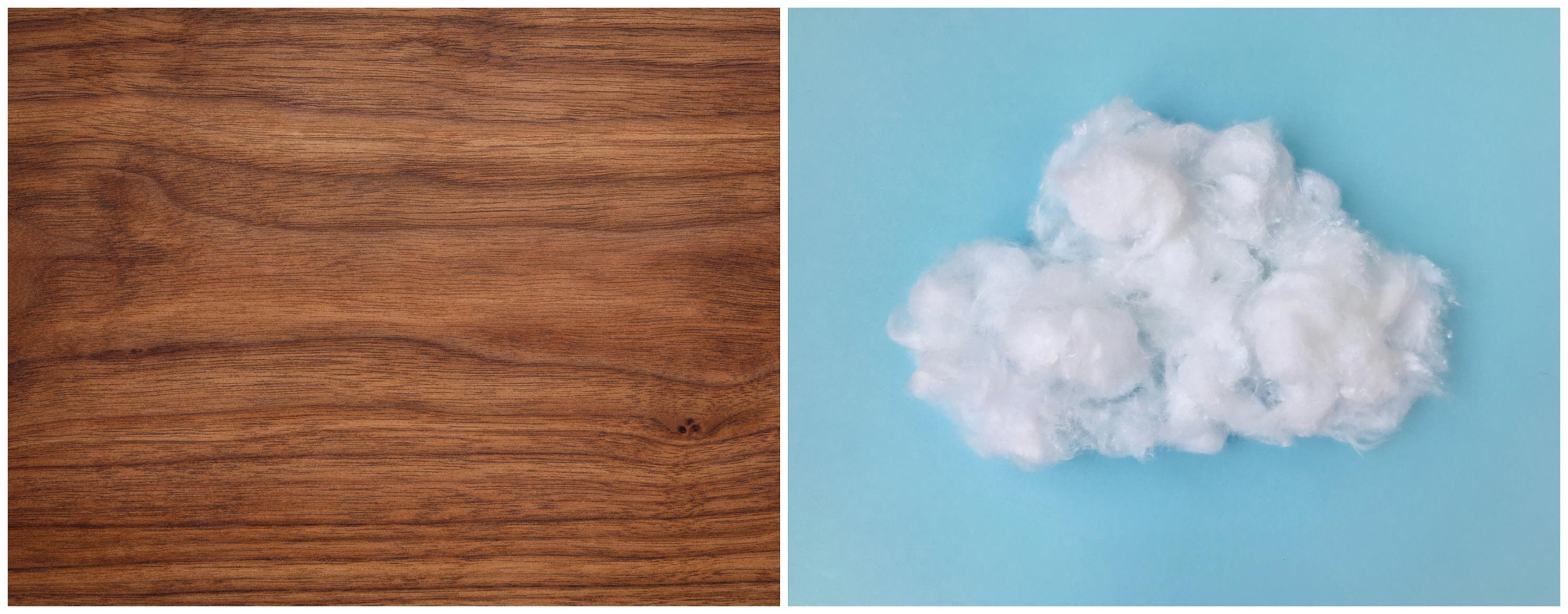 Appearance — lesson. Science CBSE, Class 6.