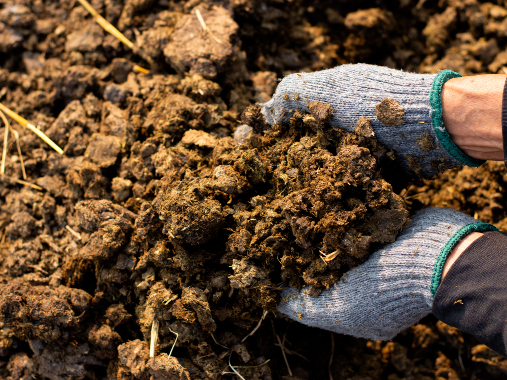 Manure and fertilisers — lesson. Science State Board, Class 8.