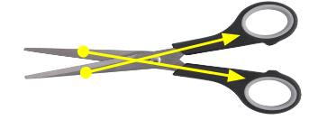 Real Life Intersecting Lines