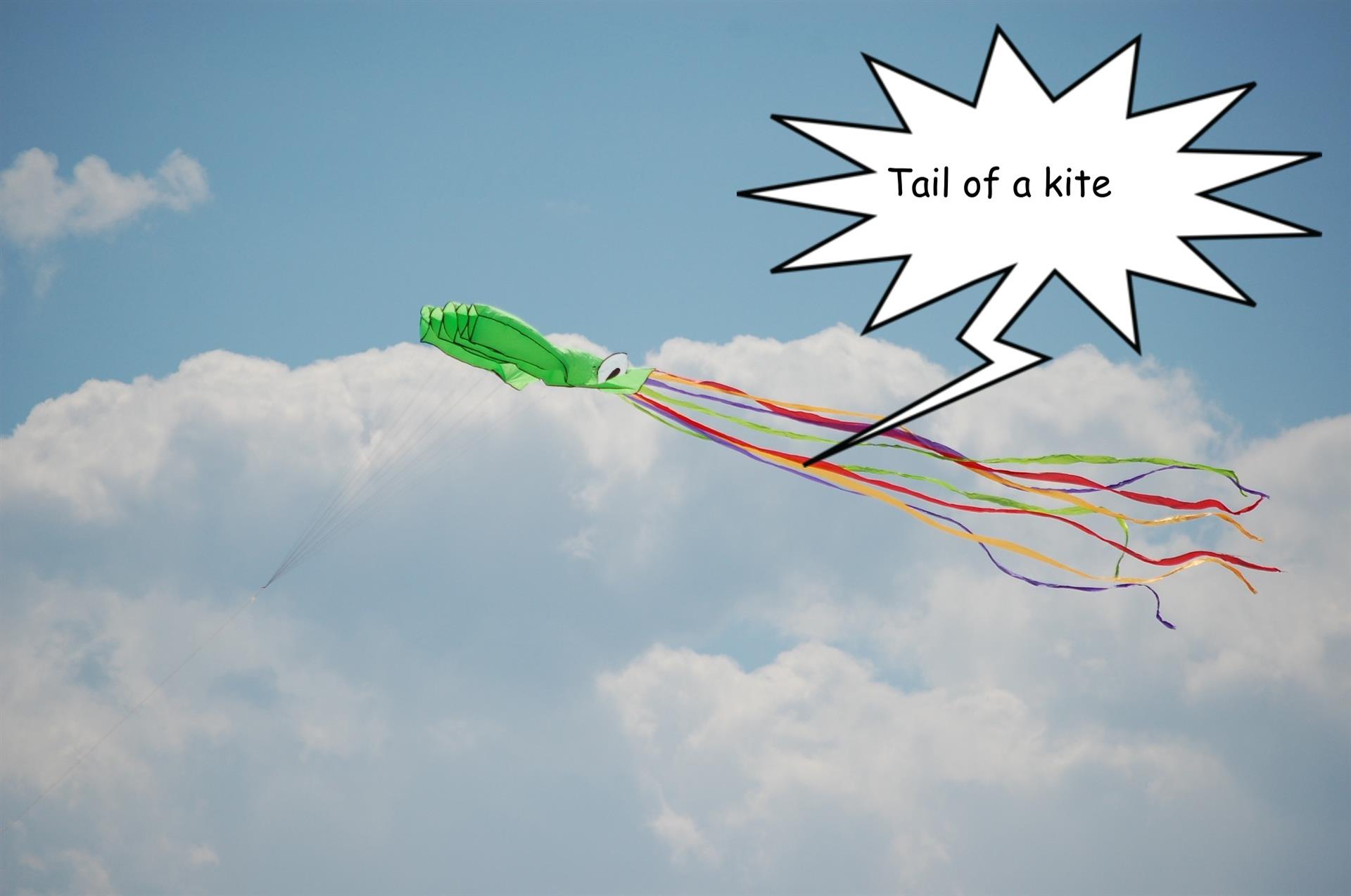 Lines 1-11 — lesson. English Language CBSE, Class 6.