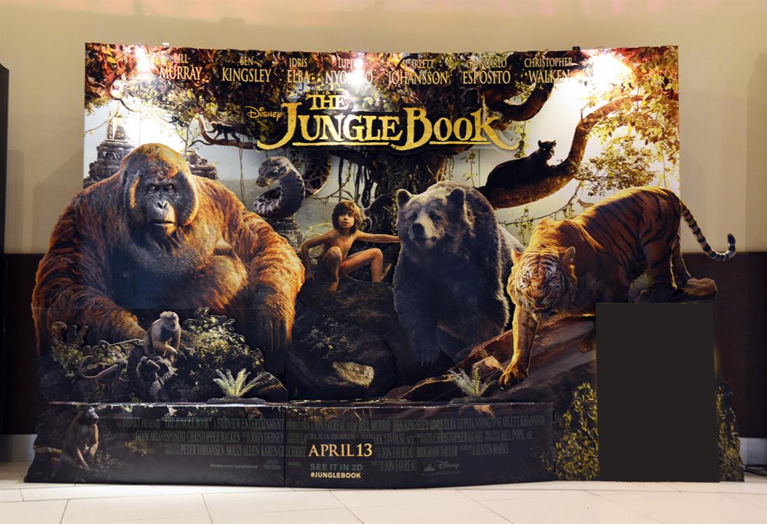 General introduction to the book "The Jungle Book" — lesson. English ...