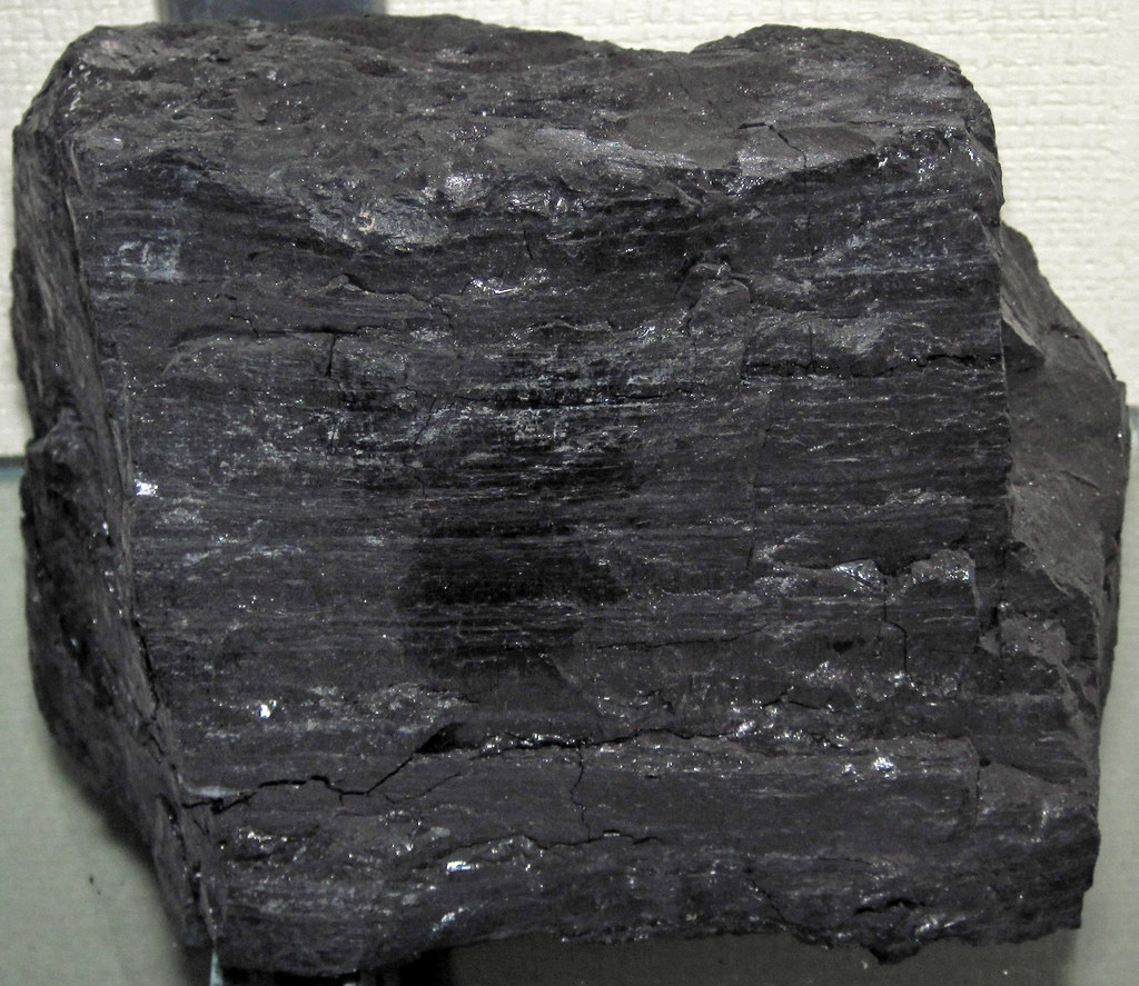 Coal: extraction and its types — lesson. Science State Board, Class 8.