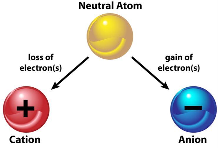 Valence electrons — lesson. Science CBSE, Class 9.
