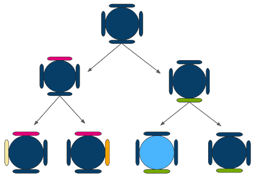 Accumulation of variations during sexual reproduction — lesson. Science ...