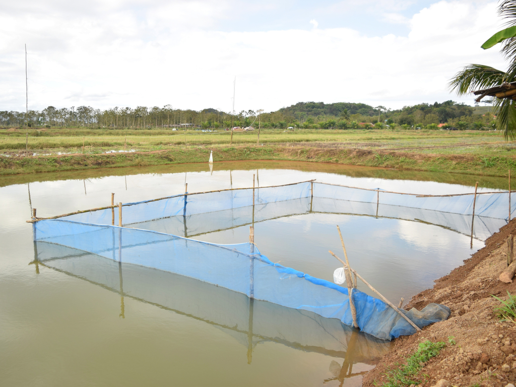 Ponds for fish culture — lesson. Science State Board, Class 9.