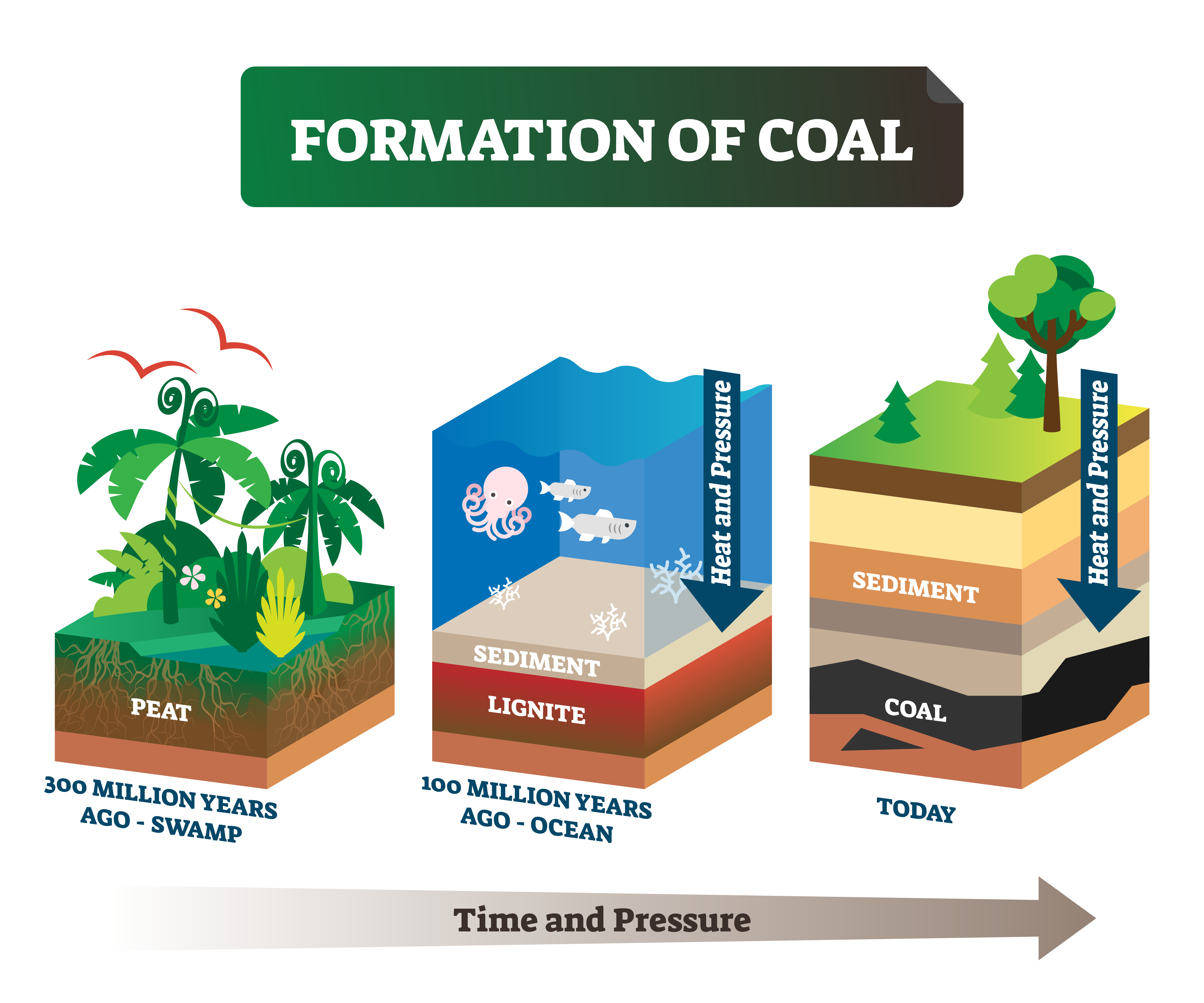Formation of fossil fuels — lesson. Science CBSE, Class 8.