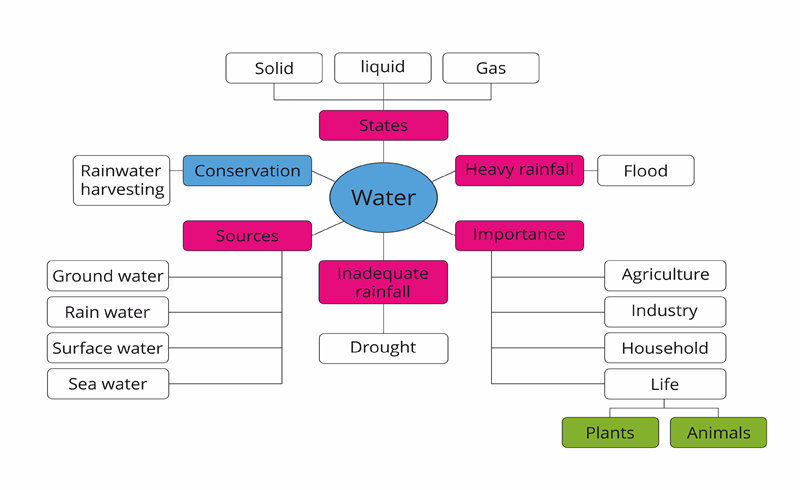 Mindmap — lesson. Science CBSE, Class 6.