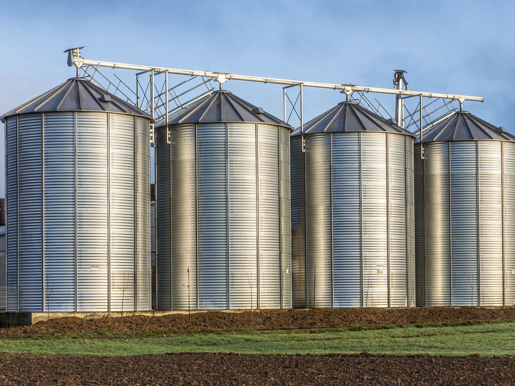 Storage — lesson. Science State Board, Class 8.